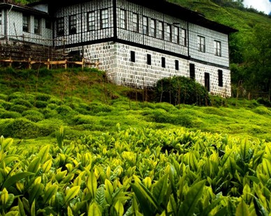 Rize Bungalov Evler ve Rize Bungalov Oteller | Otelz.com